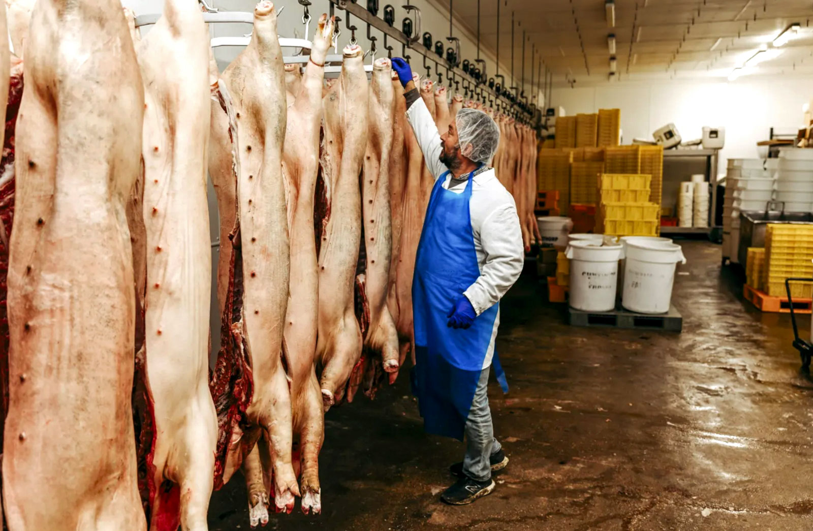Why Locally Produced, High-Quality Meat Costs So Much • Children's ...
