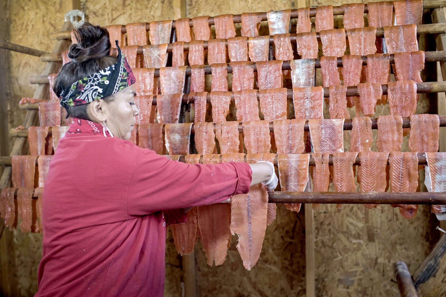 Toxic Levels of Mercury, PCBs Found in Salmon That Tribes Rely on for ...
