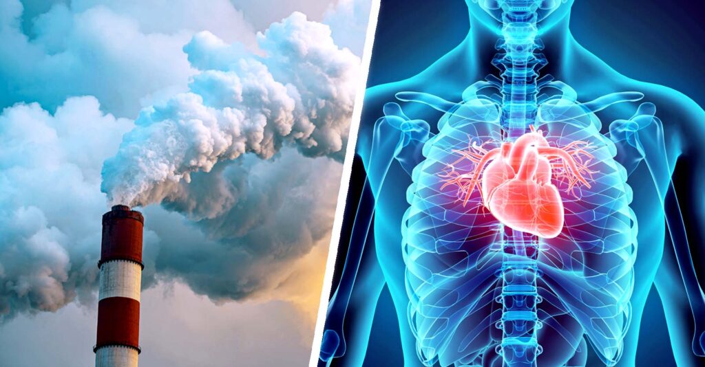 Air Pollution Damages Nearly Every Major System in the Human Body ...