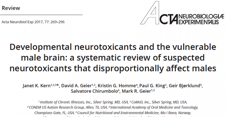 Developmental neurotoxicants and the vulnerable male brain: a ...