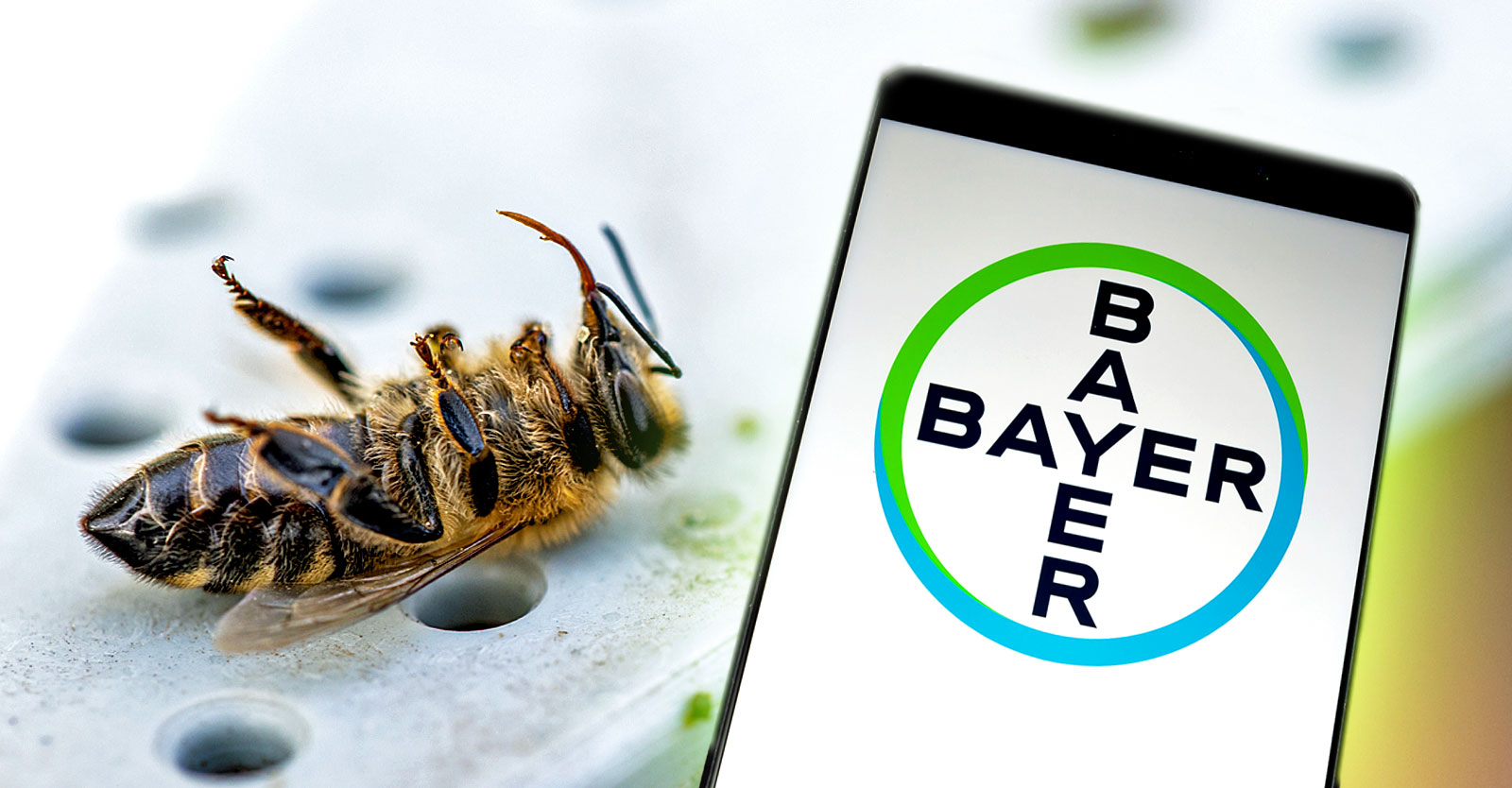 Bayer Pesticides Kill Bees. The Chemical Giant Found a Winning Way to ...