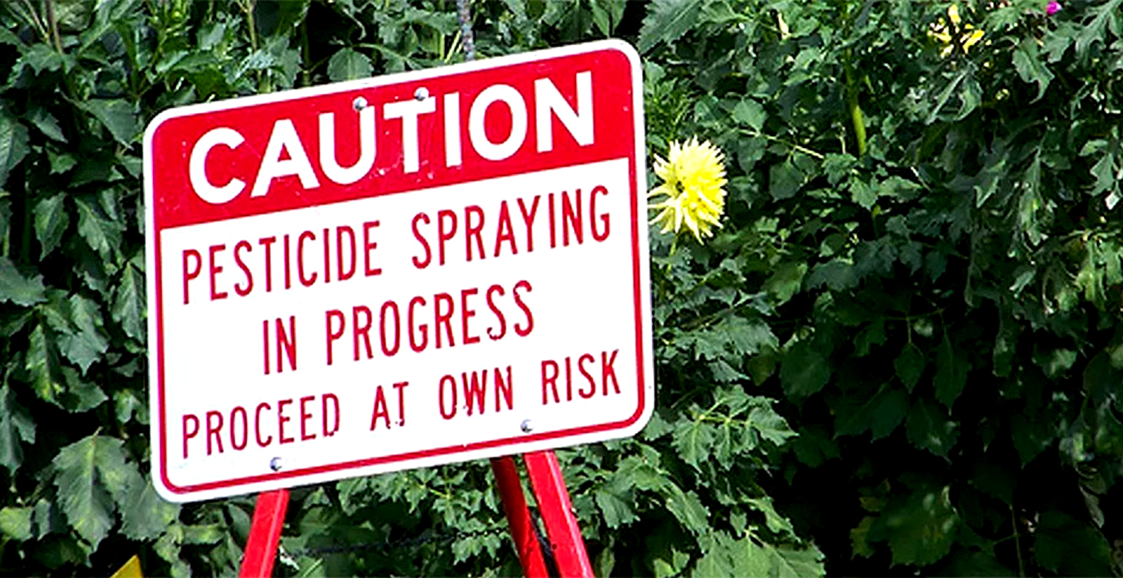 EPA Unveils Plan to Protect Wildlife From Pesticides, Environmentalists ...