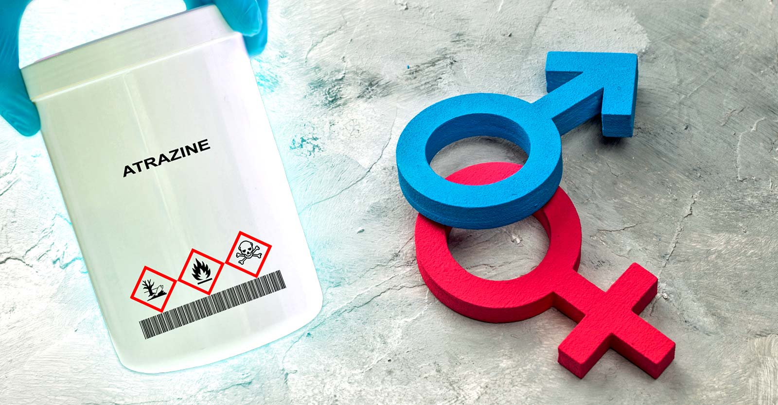 Can Chemicals Affect Gender Identity? Maybe — and That Makes It Worth ...