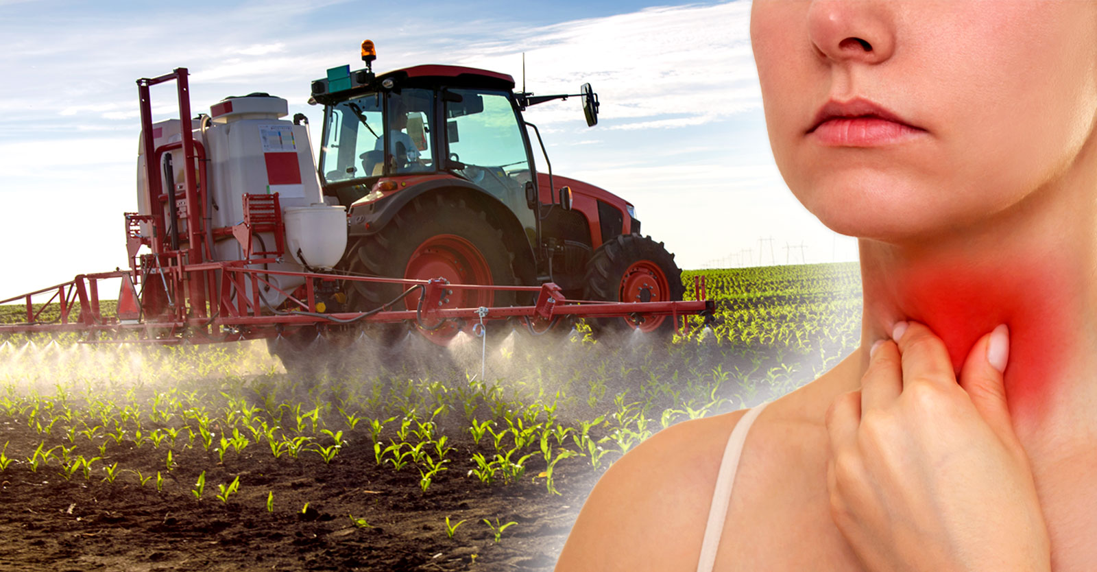 ‘Just Too Dangerous’: Herbicide Linked to Birth Defects, Thyroid ...