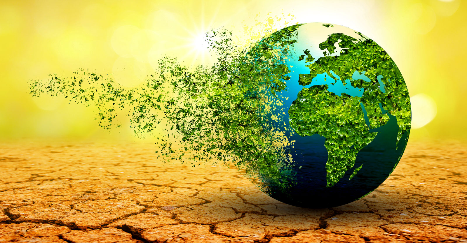 Yes, Ecosystems Are collapsing. No, It Has Nothing to Do With CO2 ...