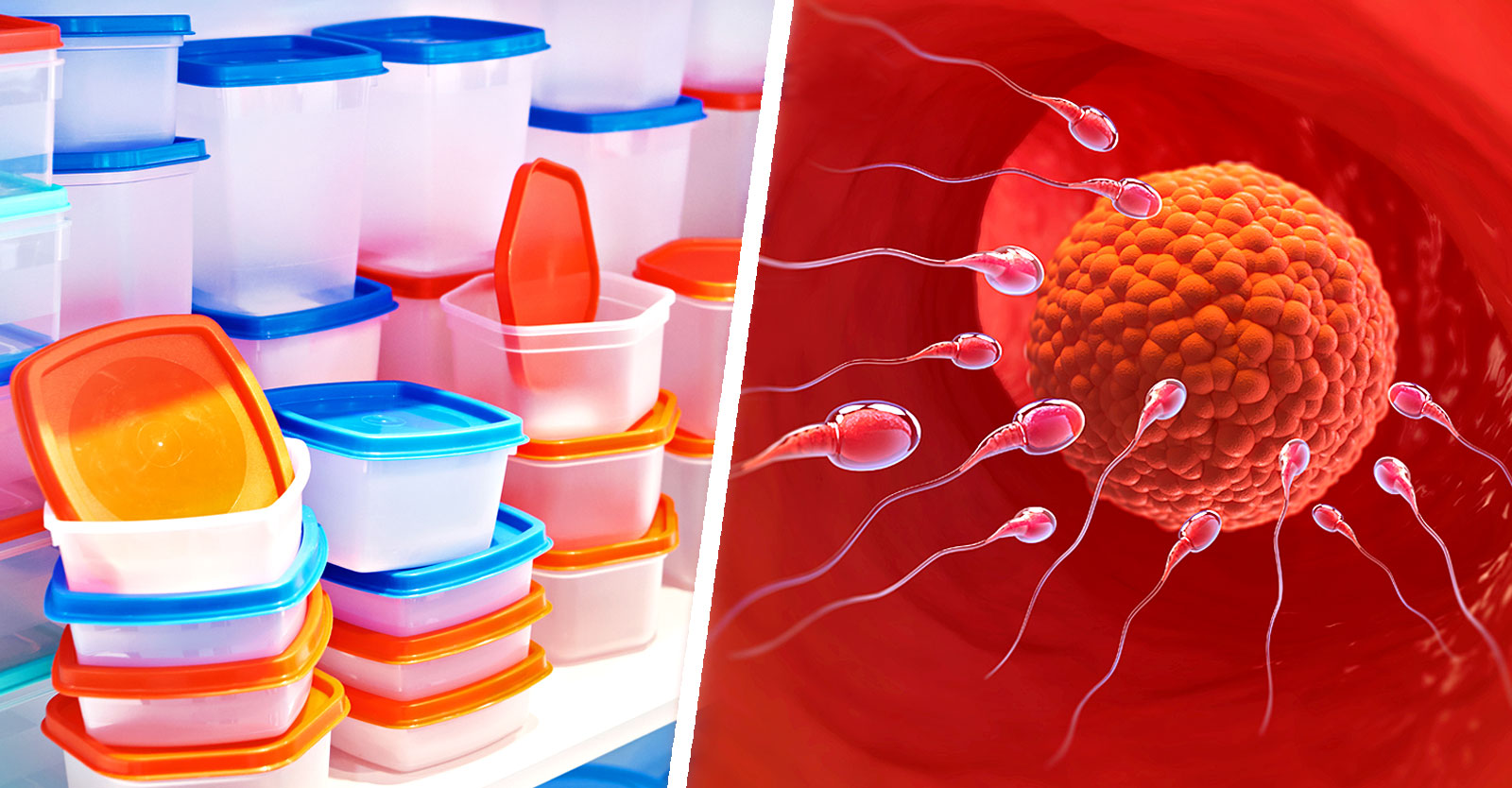 Endocrine Disruptors Reduce Women’s Egg Supply and Quality, May Lead to ...
