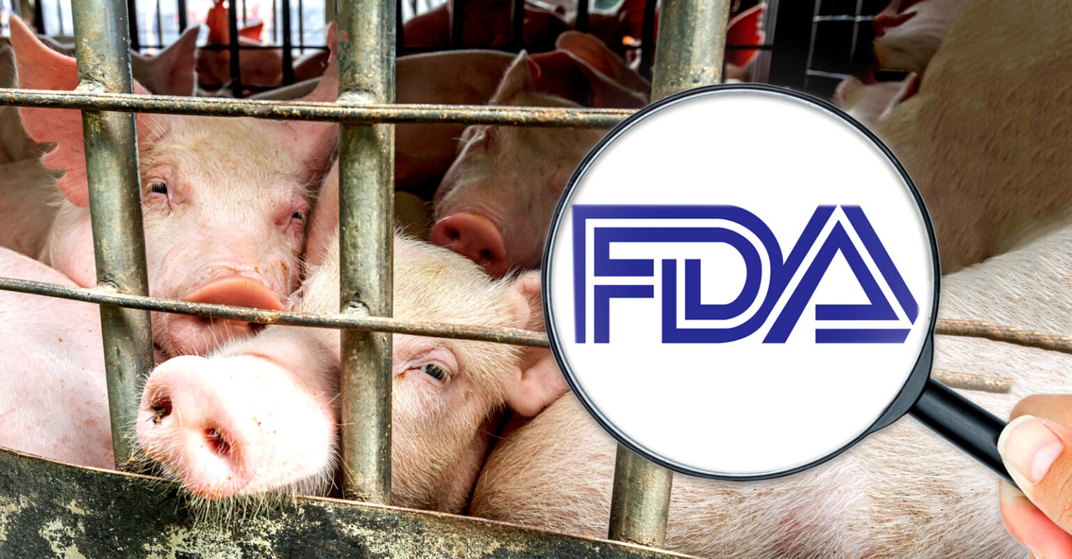 Groups Sue FDA Over Livestock Drug Banned or Restricted in 160 ...