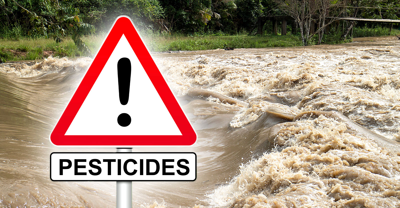 Floods Carry Pesticides to Soil and Plants — And That Threatens the ...