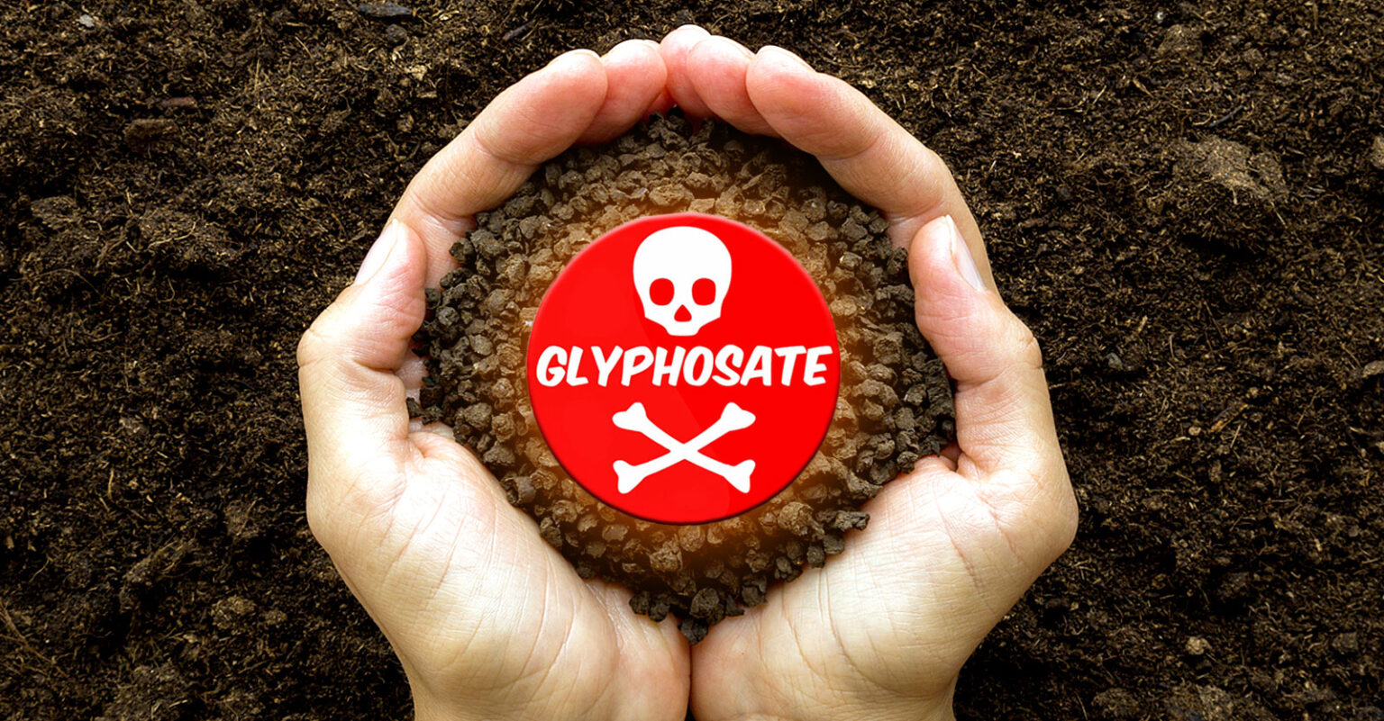 Gardeners Beware: High Levels of Glyphosate in Fertilizers Ruined ...
