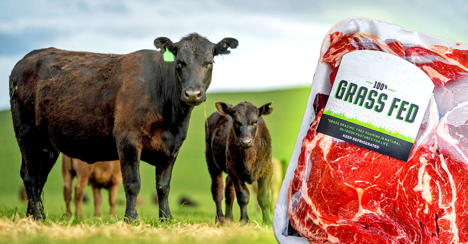 Why Eating Grass-fed Beef Is Better for Your Health • Children's Health ...