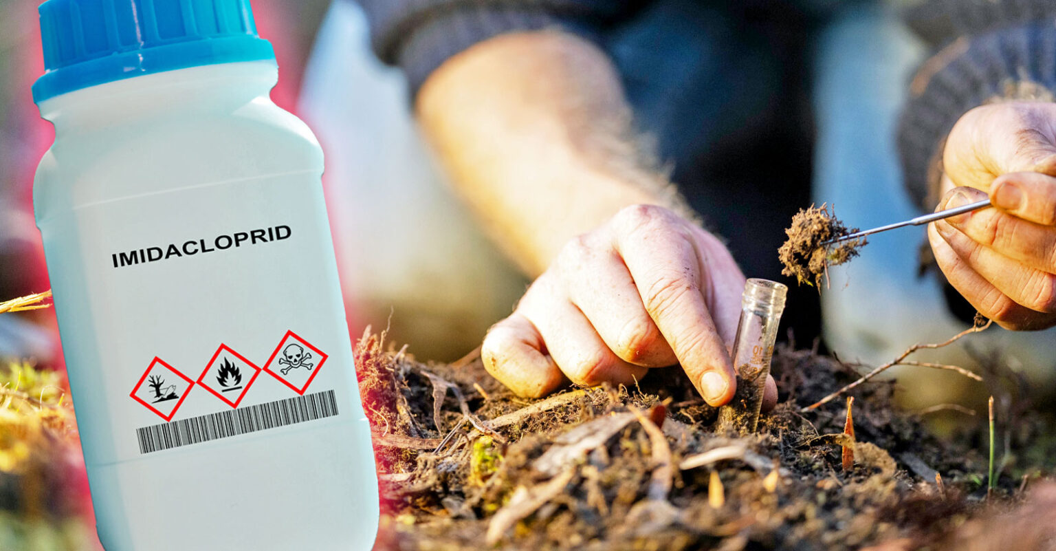 Widely Used Insecticide Harms Soil Health, Study Shows • Children's ...