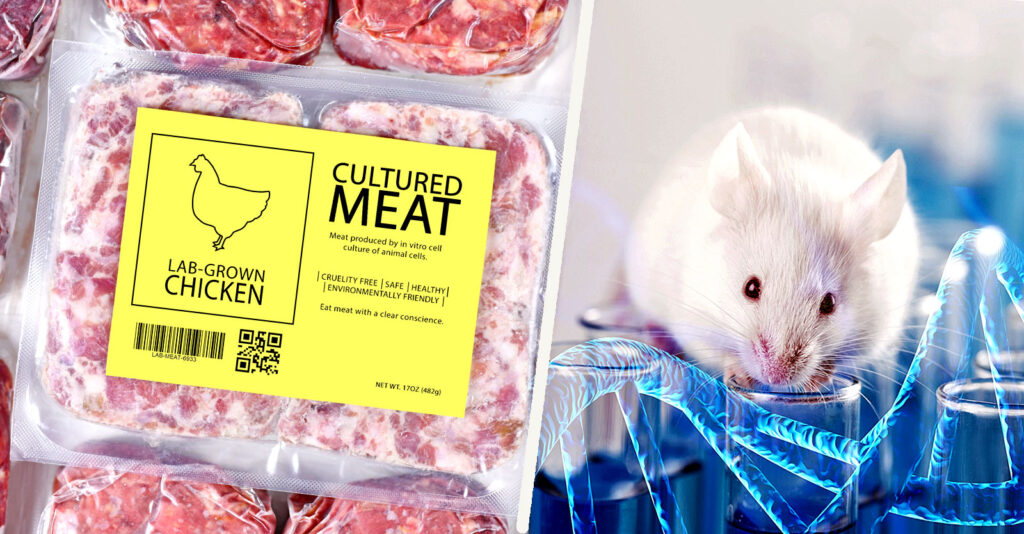 Lab-Grown Fake ‘Chicken’ — With a Side of Heavy Metals and Rodent DNA ...