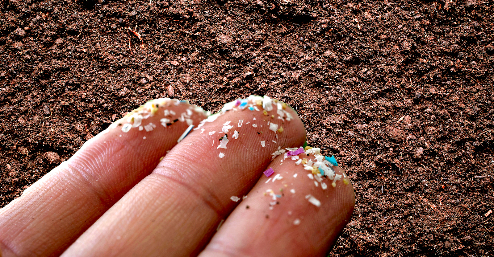 Trillions of Microplastic Particles Spread on Land Used to Grow Food ...
