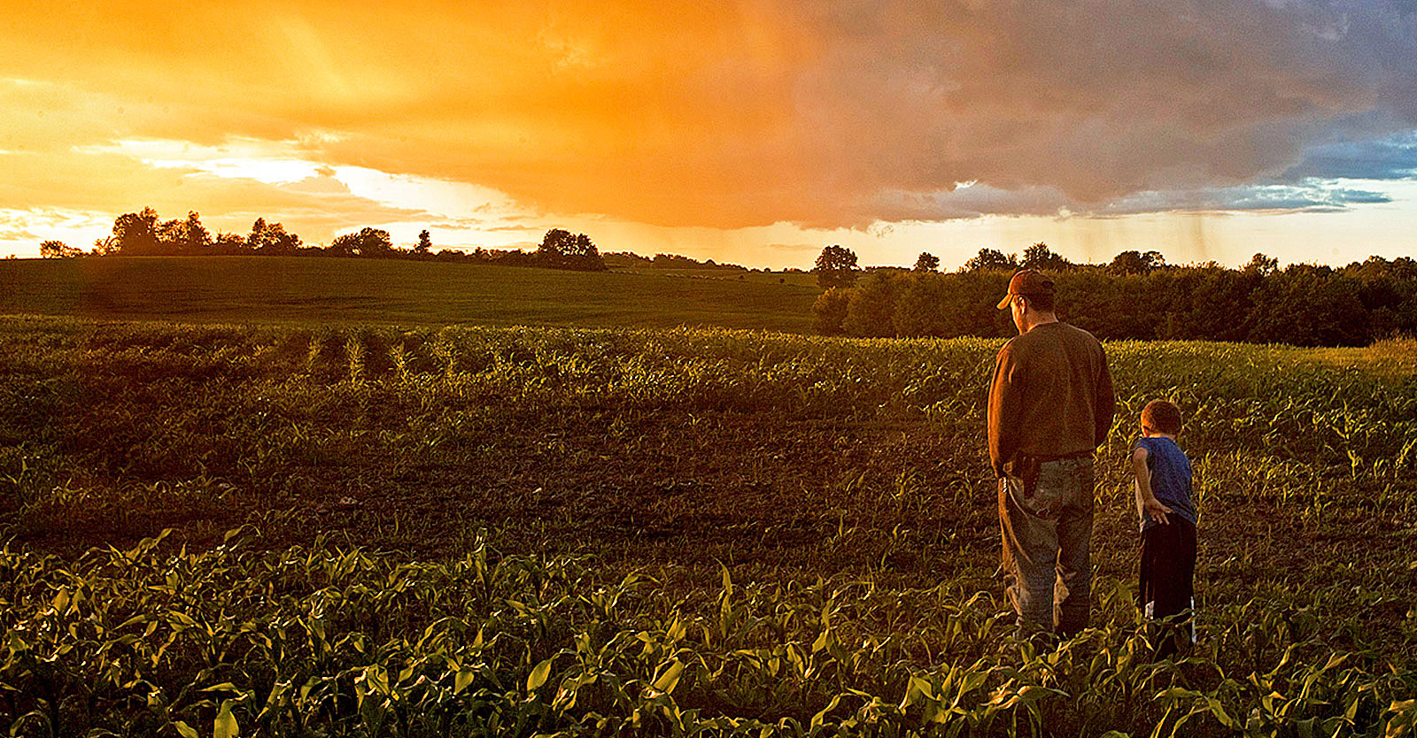 ‘Day of Reckoning Is Coming’: New Films Showcase Benefits of Organic ...