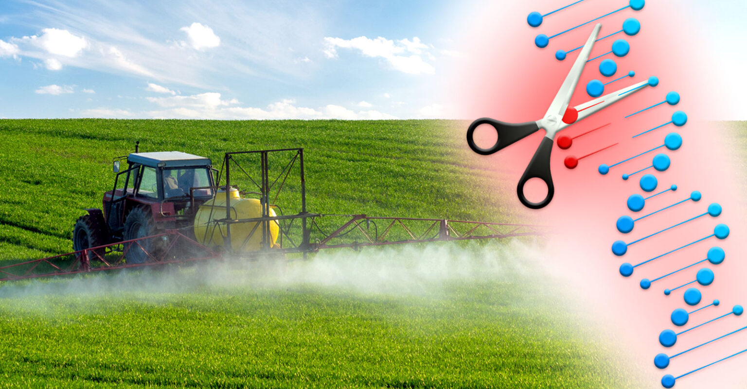 Pesticides Designed to ‘Edit’ the Genes of Plants, Animals, Insects ...