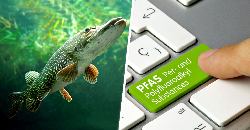 ‘More Harmful Than Mercury’: PFAS ‘Forever Chemicals’ Found in ...