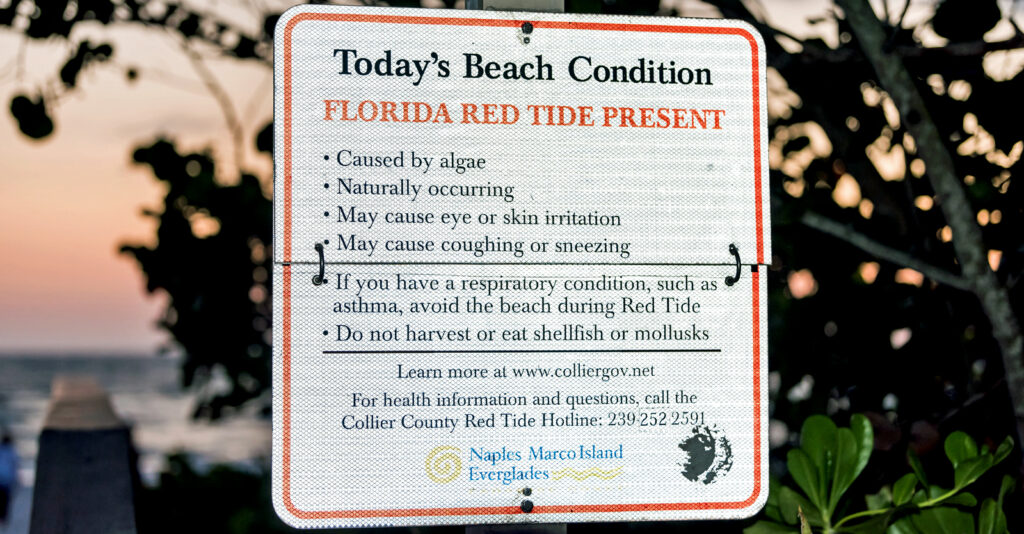 Citizen Science: How You Can Help Map Red Tide Danger Zones • Children ...