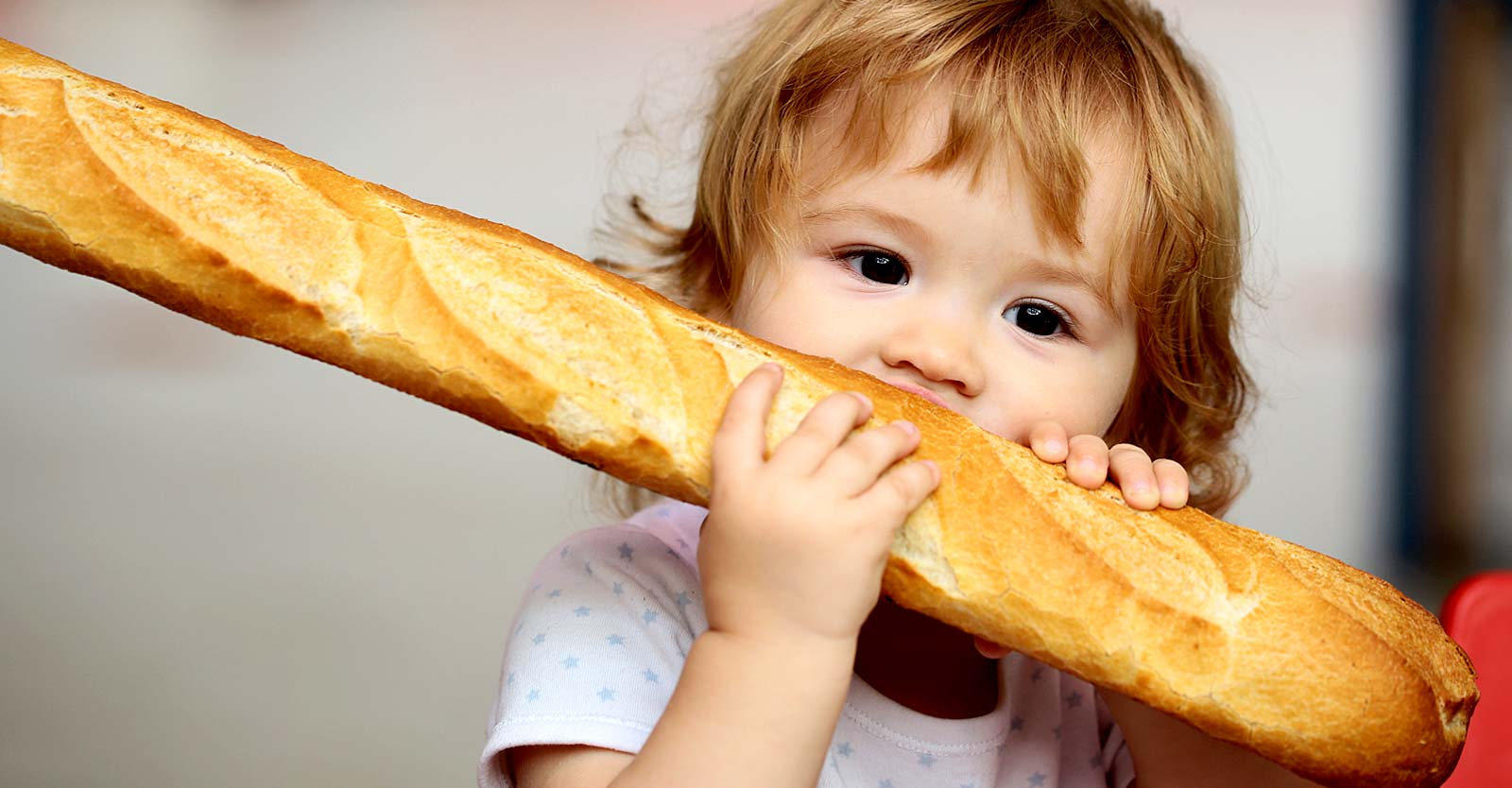 Additives, Glyphosate and Gluten: How U.S. Bread Ingredients Damage Gut ...