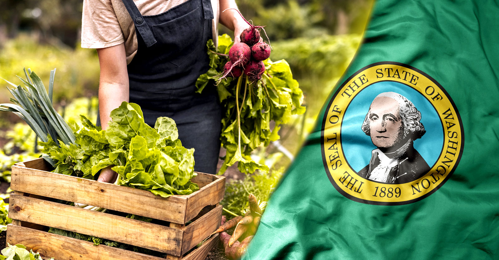 Nation’s First Organic Action Plan Would Help Organic Farmers Thrive ...