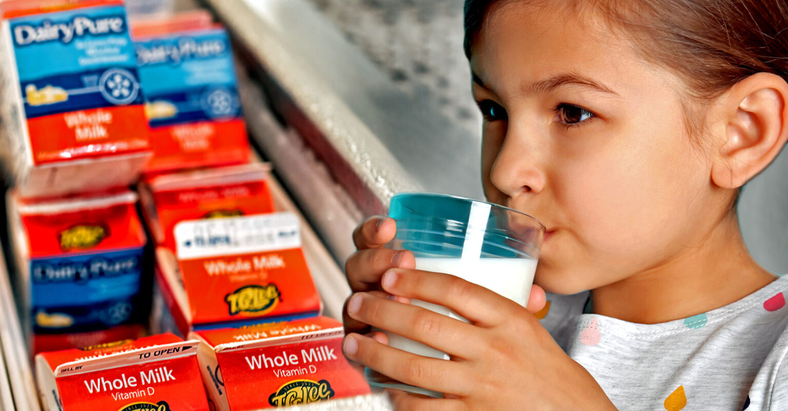 Bill to Allow Whole Milk in Schools Supported by Science, Experts Say ...